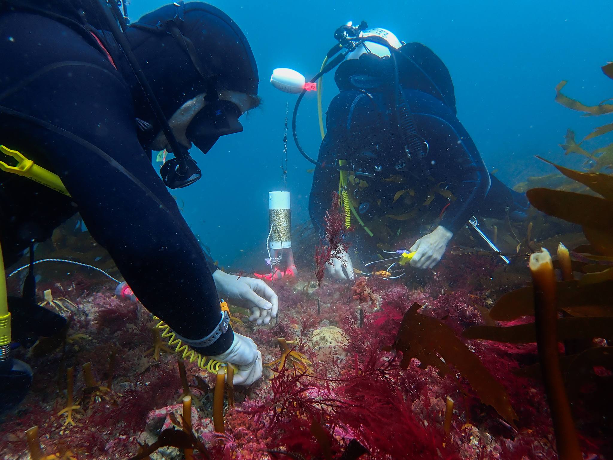 Наука як мистецтво. Роботи фіналістів конкурсу наукової фотографії ...
