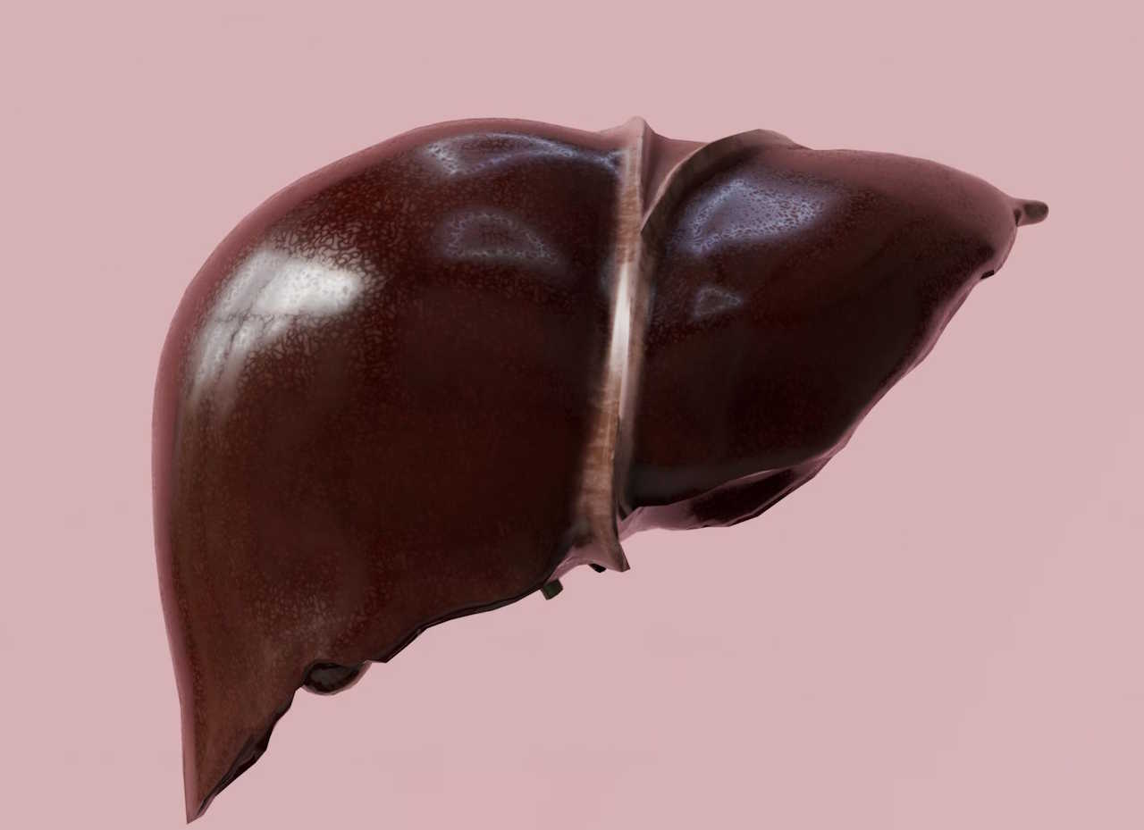 Самолікування печінки яблучним оцтом пошкодило печінку в чоловіка - nauka.ua — Новини науки ...